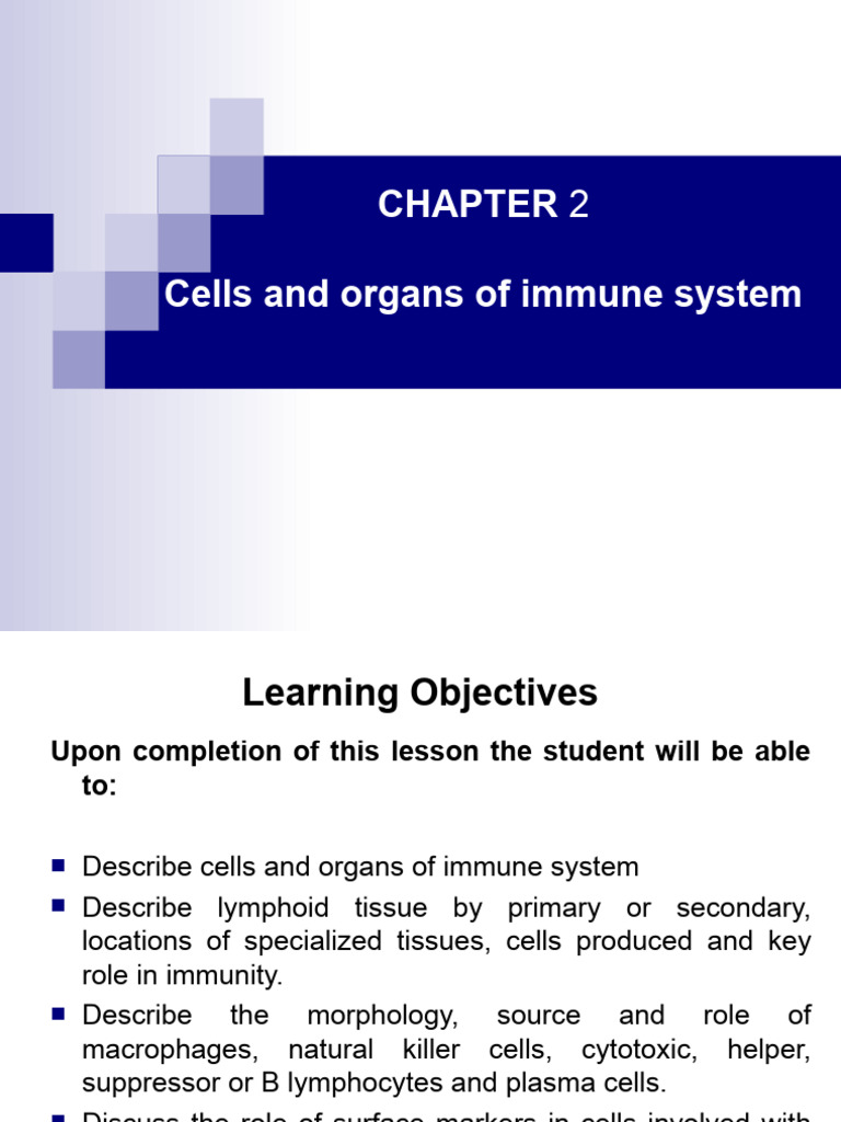 Chapter 2 Basic Immunology | PDF | Lymphatic System | Lymphocyte
