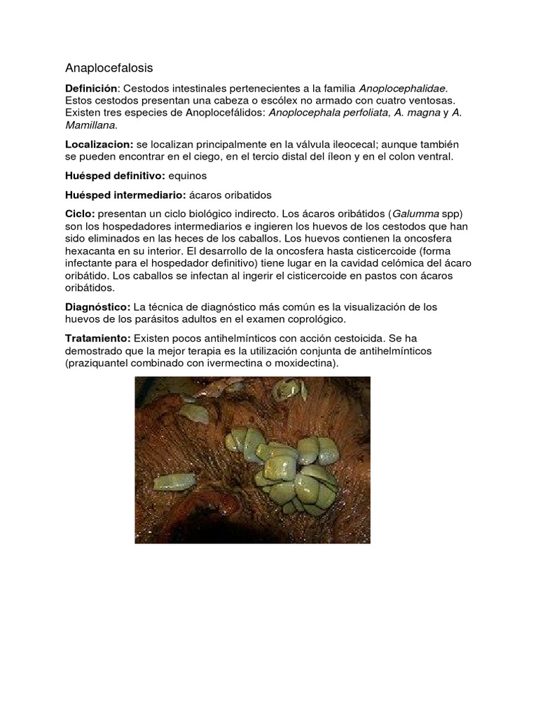 Cestodos Intestinales Pertenecientes A La Familia Anoploceph | PDF ...