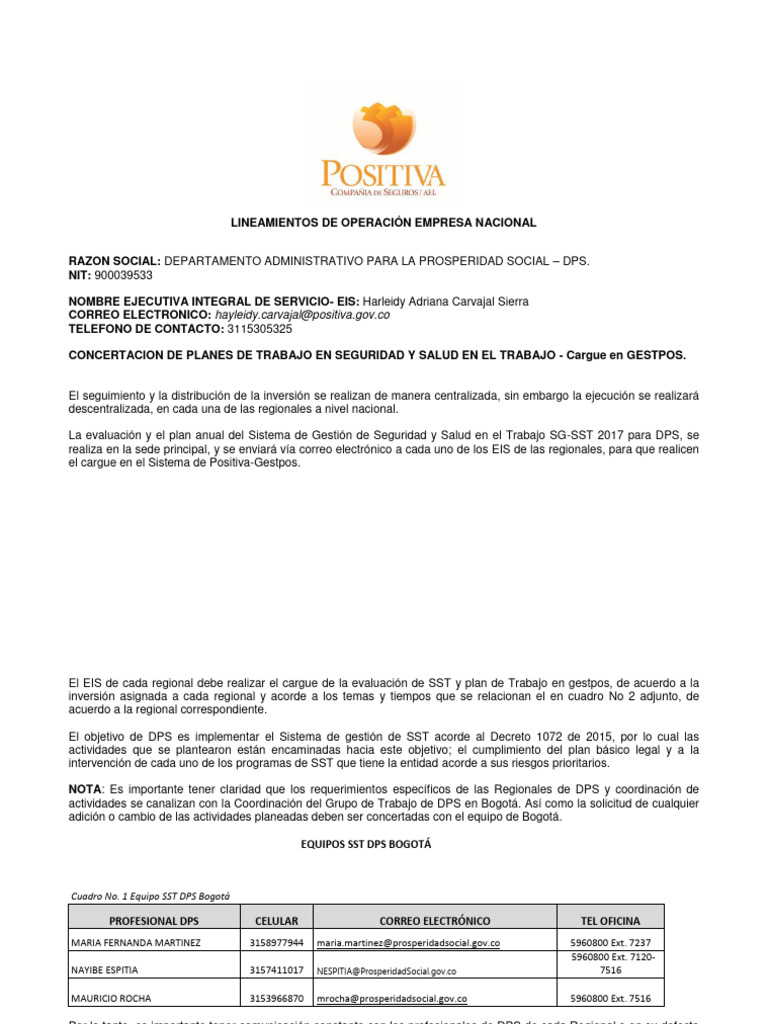 Lineamiento Positiva Dps 2017 Pdf