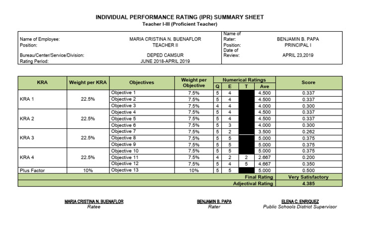 INDIVIDUAL PERFORMANCE RATING Summary | PDF