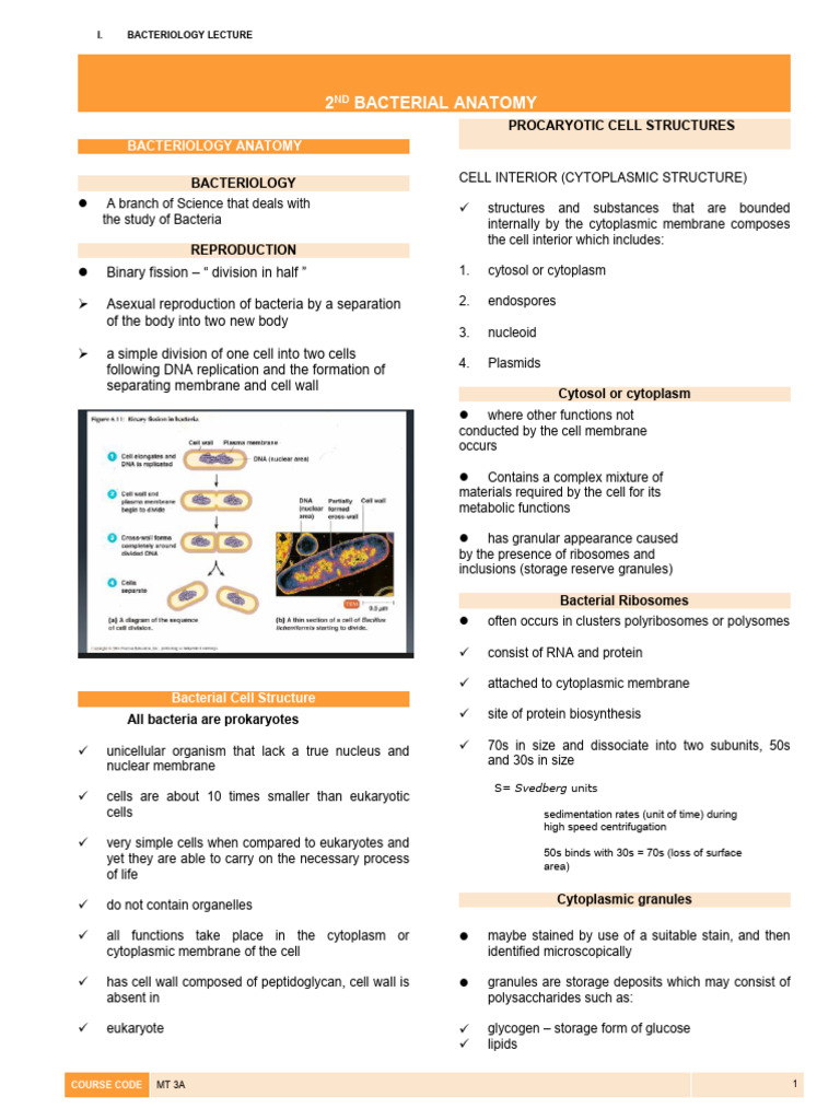 BACTERIOLOGY LEC-2nd Bacterial Anatomy | Download Free PDF | Bacteria | Cell (Biology)