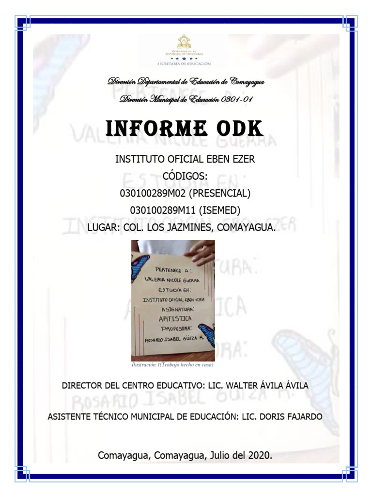 Informe de Odk Eben Ezer | PDF