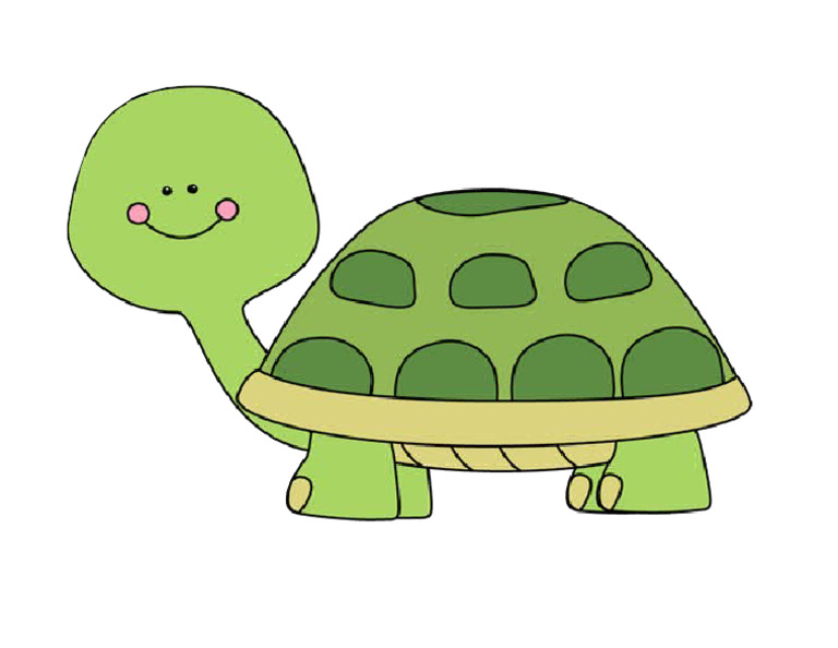 Turtle Puzzle | PDF