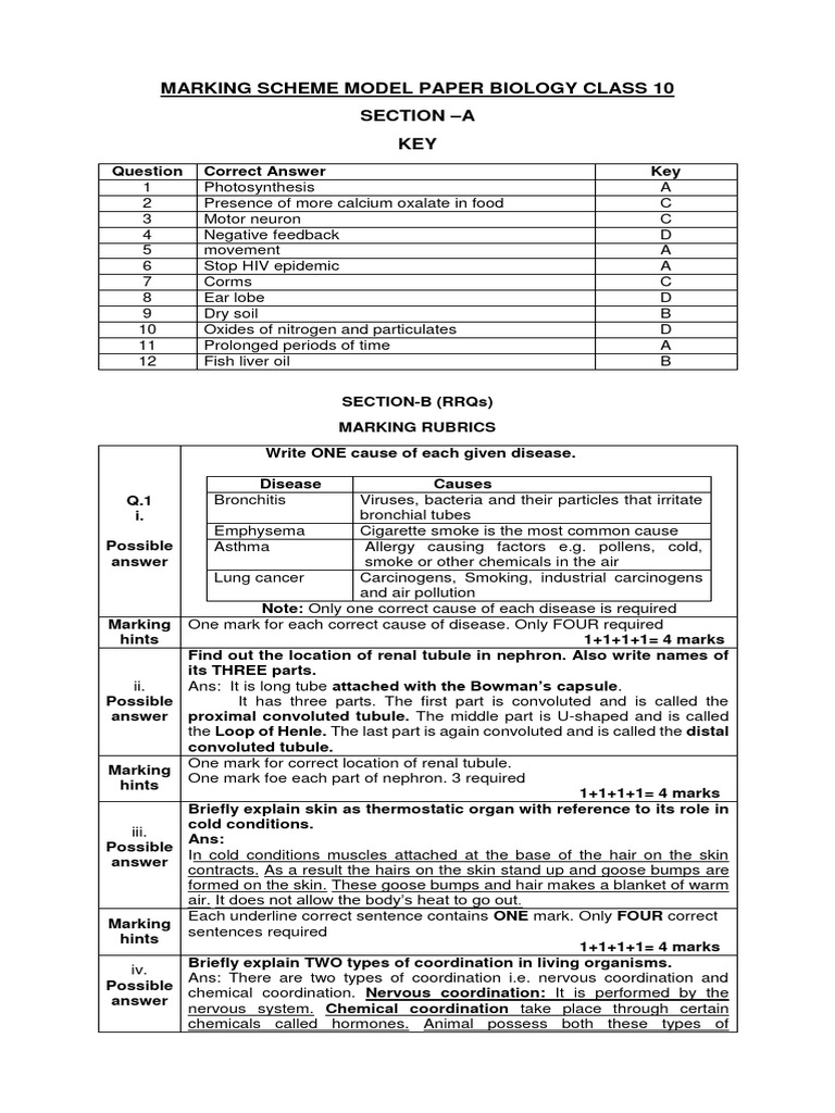 MARKING SCHEME BIOLOGY MODEL PAPER 10th | PDF | Seed | Nervous System