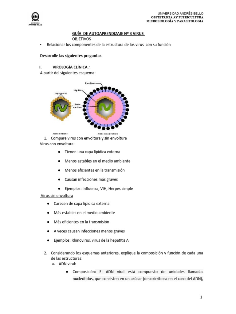 Guia de Autoaprendizaje 3 Virus | PDF | Virus | Influenza