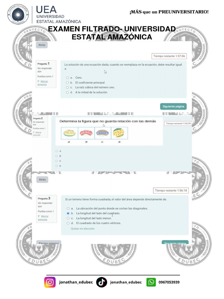 Prueba Filtrada - UEA | PDF