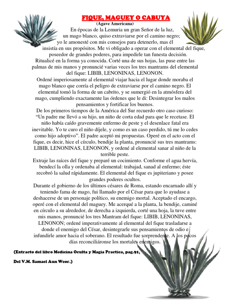 Elementos y Ritual del Maguey | PDF | Amor