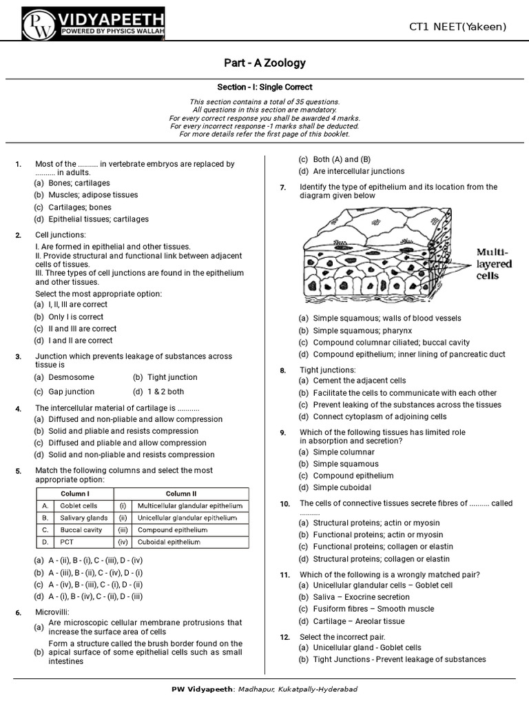 CT1 NEET Yakeen 10-Jun-2024 (Madhapur and Habsiguda) | PDF | Epithelium | Cell (Biology)