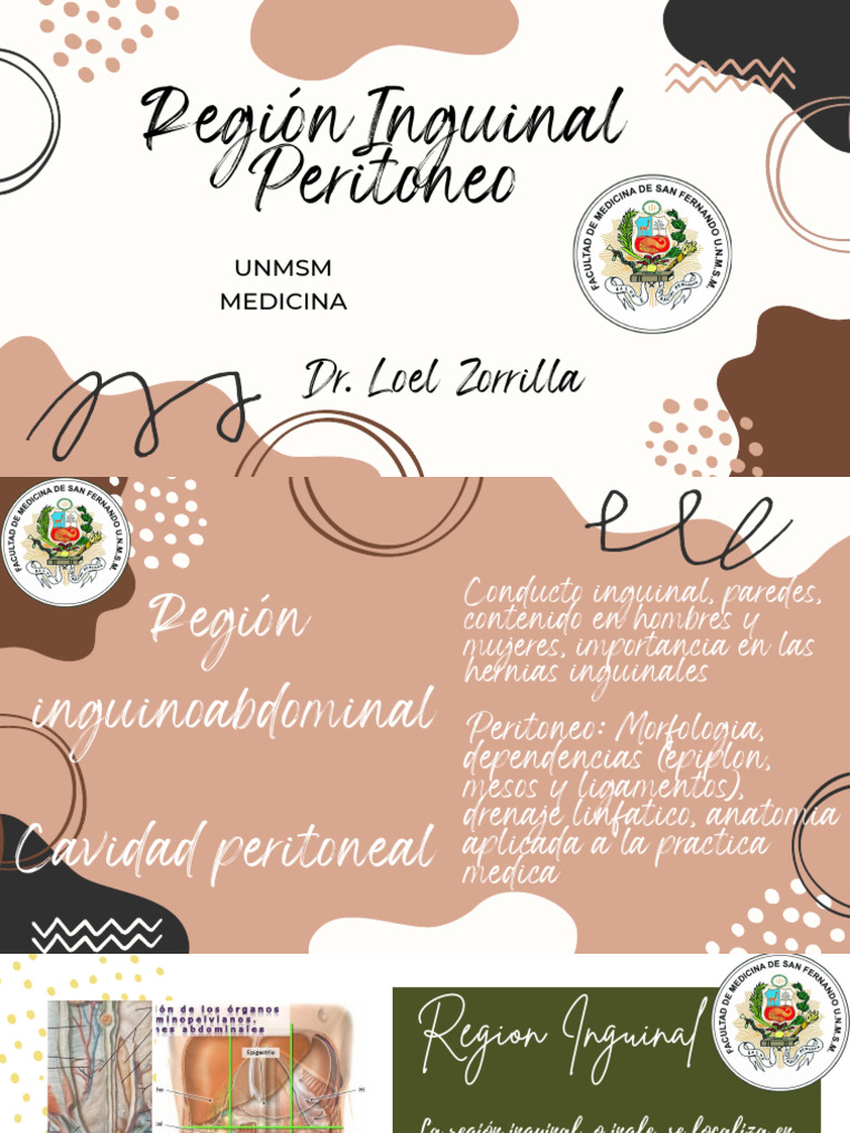 Anillo Inguinal Superficial | PDF | Anatomía | Morfología (biología)