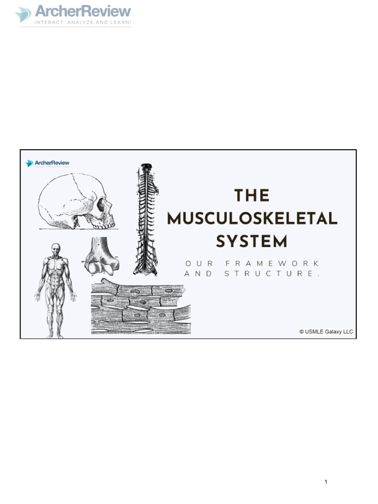The Musculoskeletal System6132024 | PDF | Bone | Human Musculoskeletal ...
