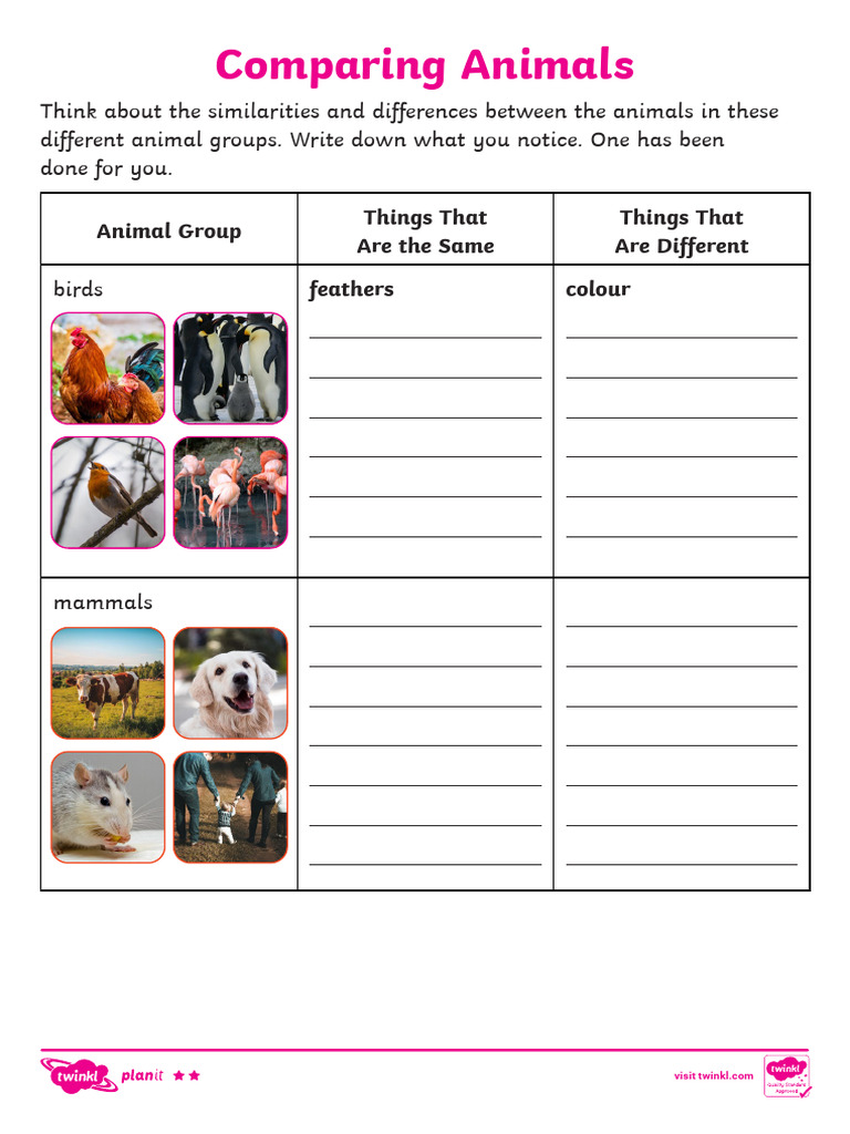 T SC 1643478931 Y1 Comparing Animals Activity Sheet - Ver - 1 | PDF