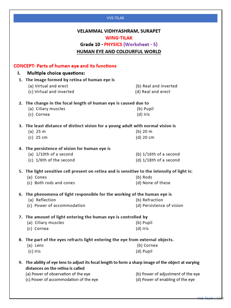 W.S-5, Human Eye and Colourful World | PDF | Eye | Human Eye