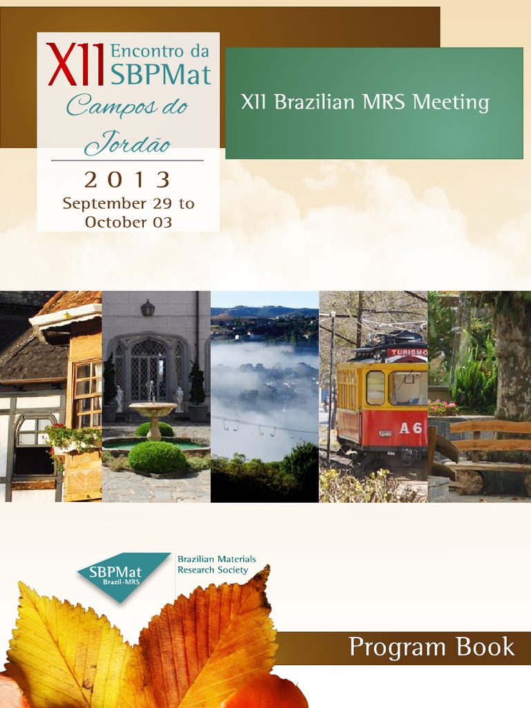 Program Book | PDF | Electrical Resistivity And Conductivity | Solid