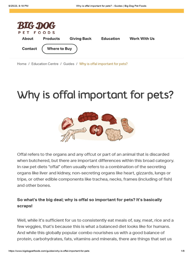 Why Is Offal Important For Pets - Guides - Big Dog Pet Foods | PDF ...