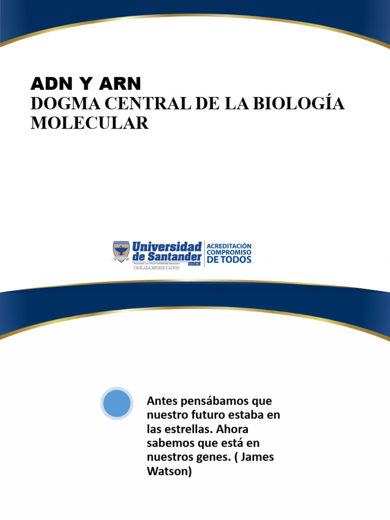 ADN y ARN | PDF | Adn | Rna