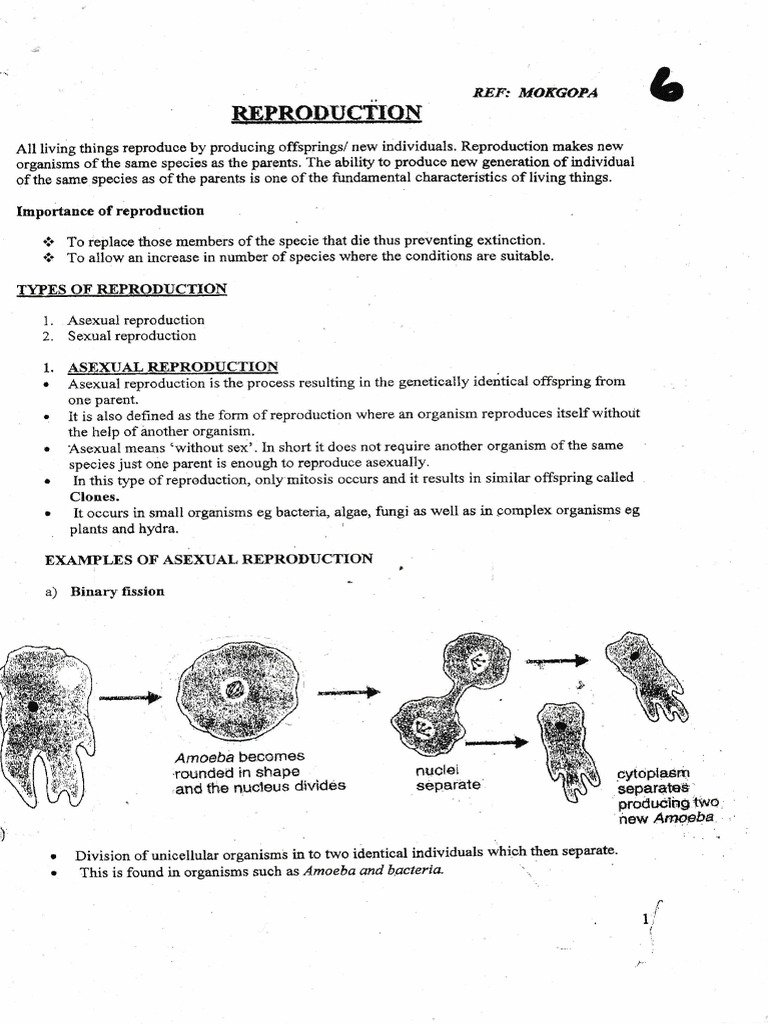 Reproduction Notes | PDF | Seed | Flowers