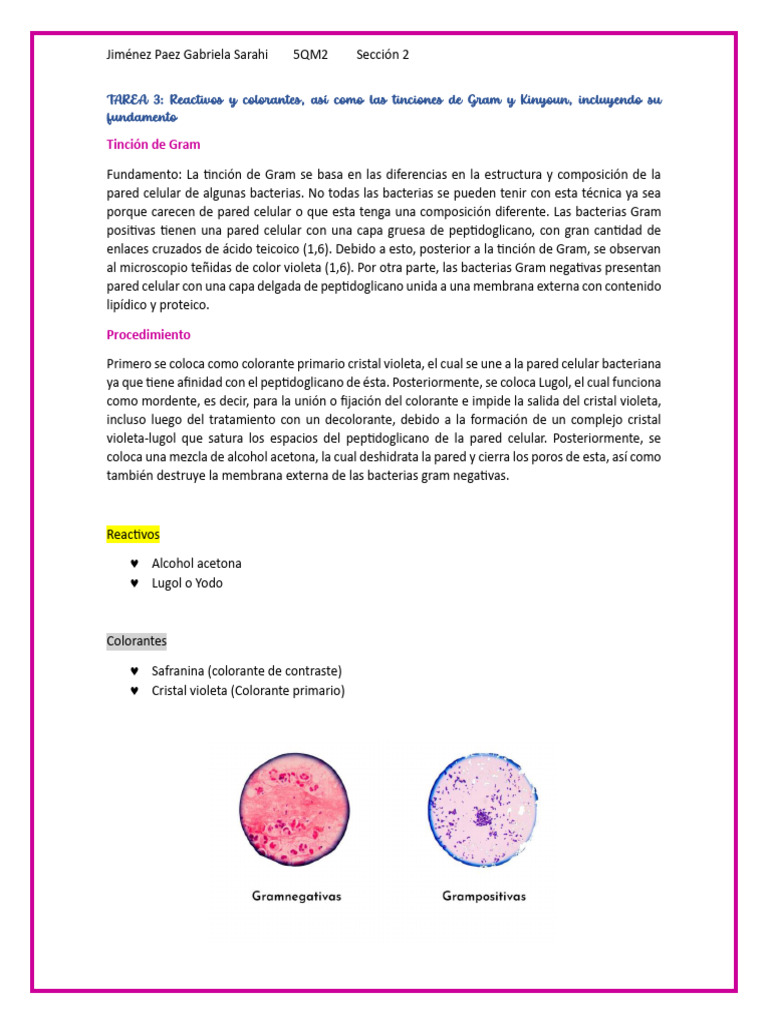 TAREA 3-2 | PDF | Tinción | Microbiología