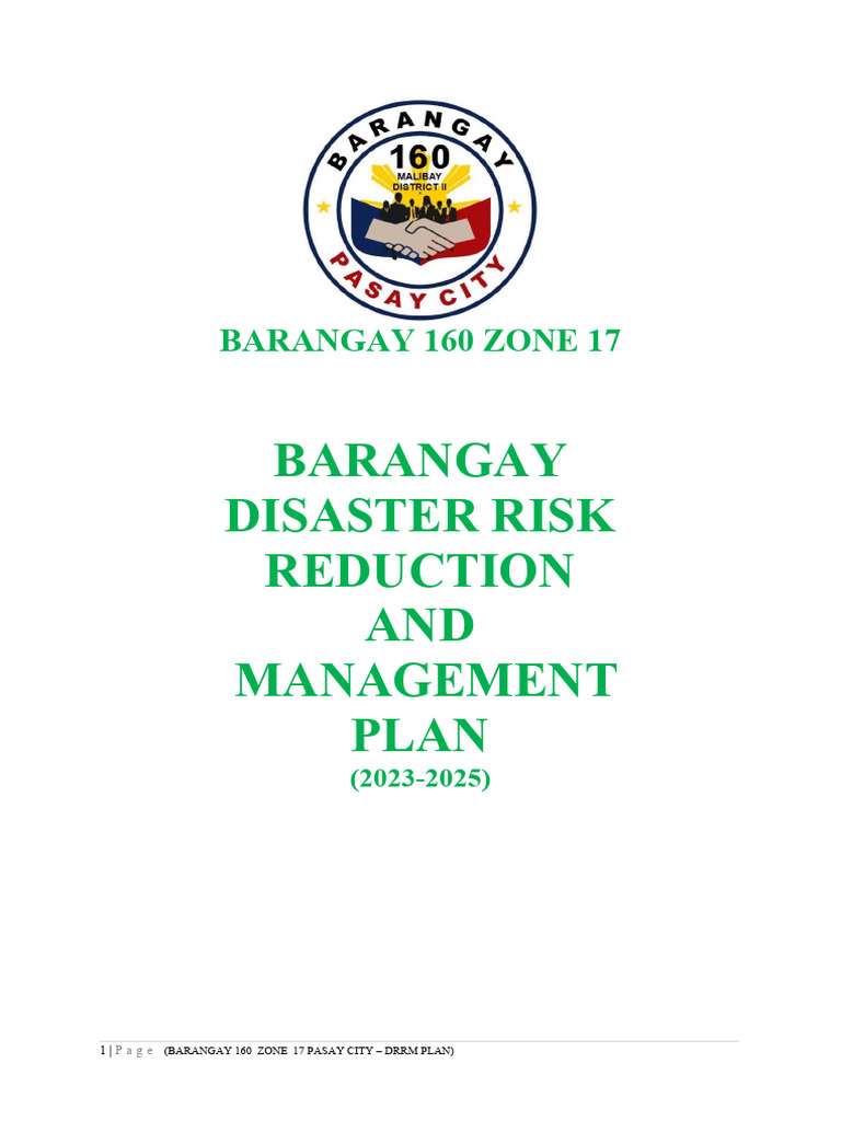 Brgy 160 BDRRMP 3 Yr Plan | PDF