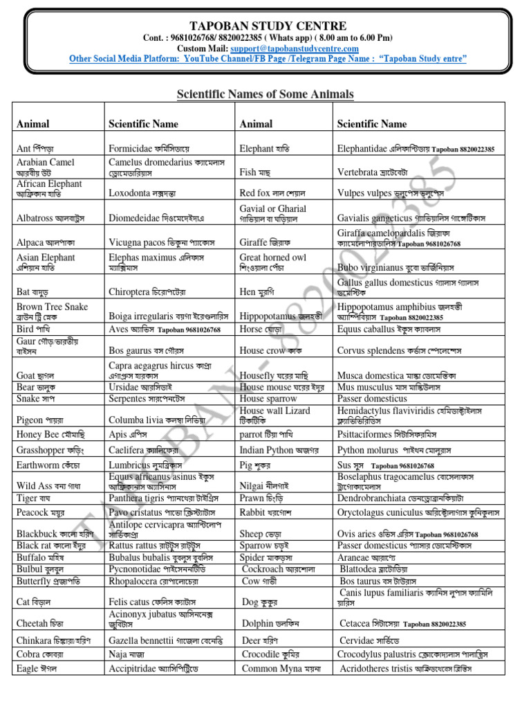 Scientific Names of Some Animals& Plants | PDF