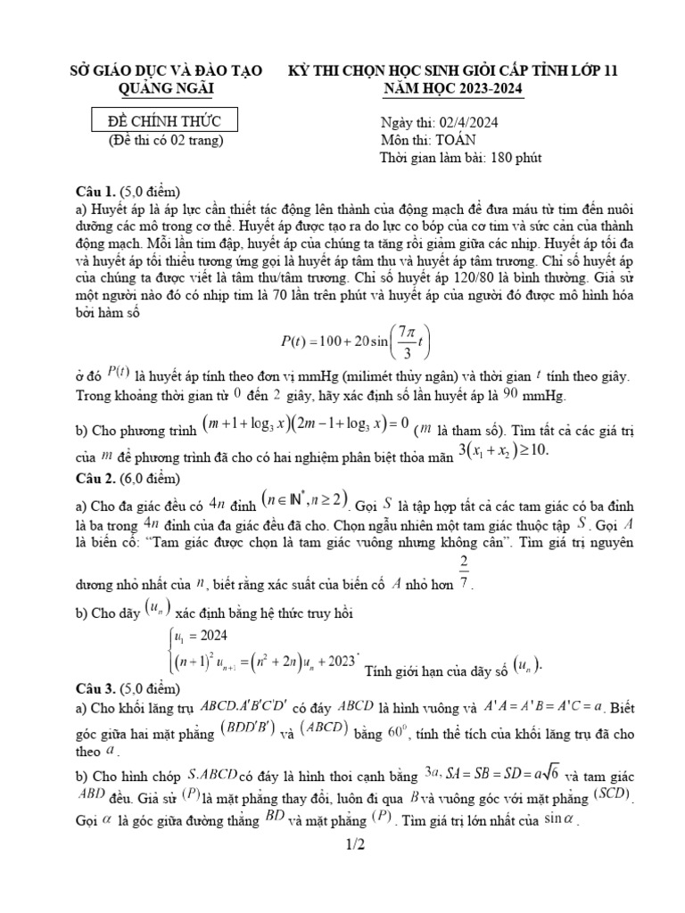 2de Chinh Thuc HSG Toan 11 | PDF
