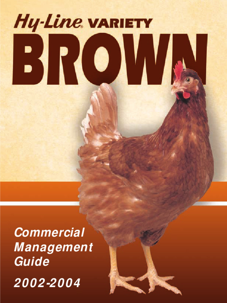 Hyline Brown Mangt Guide | PDF | Nutrients | Chicken