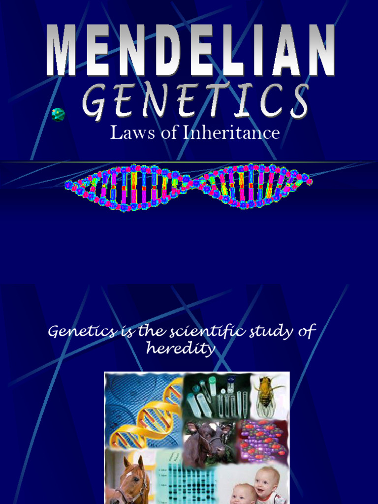 Mendellian Genetics | Download Free PDF | Dominance (Genetics) | Genotype