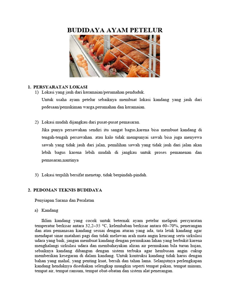 Budidaya Ayam Petelur | PDF | Sains & Matematika
