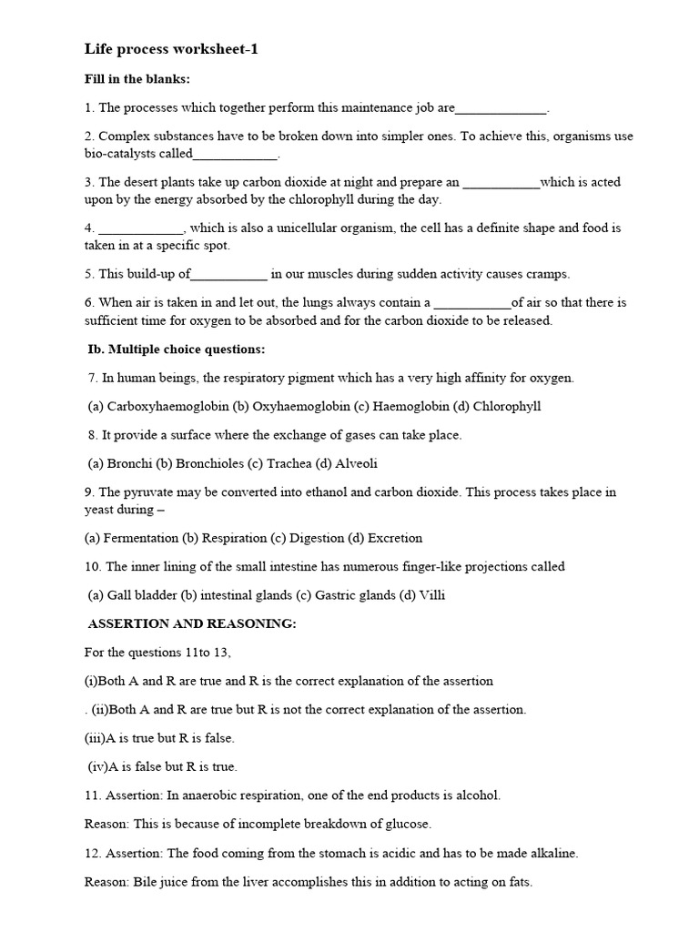 Life process worksheet-1 | Download Free PDF | Respiratory System | Vacuole