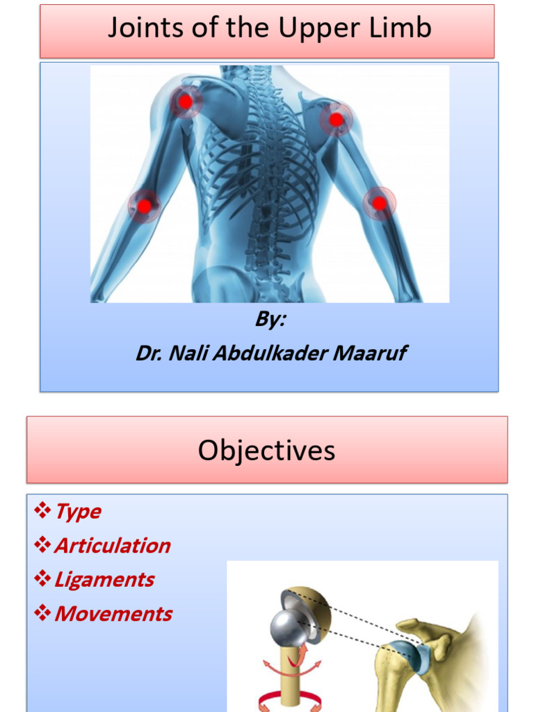 6 - Joints.. | PDF | Ankle | Vertebra