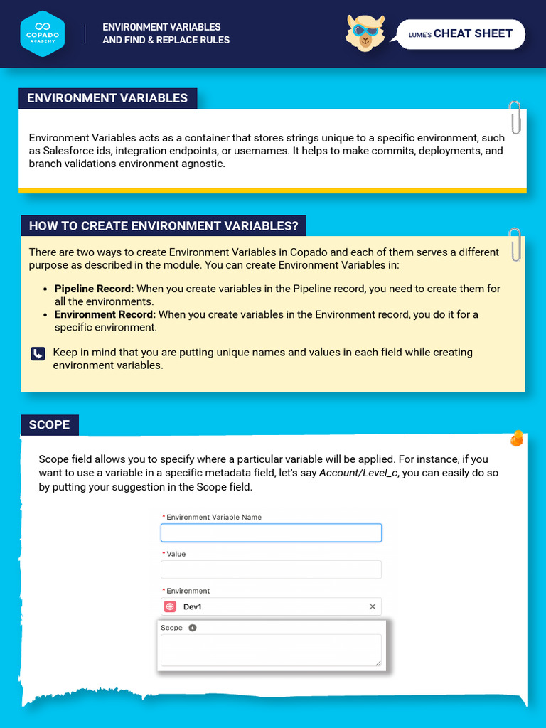 Environment Variables and Find & Replace Rules Cheat Sheet | PDF | Scope (Computer Science ...