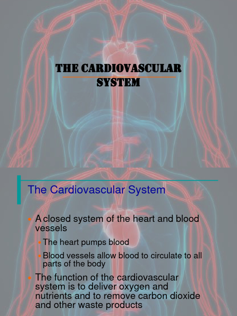 Cardiovascular System - Lab | Download Free PDF | Diastole | Heart Valve
