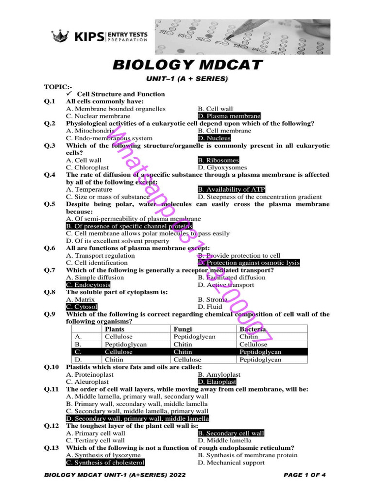 Kips Bio 2022 (T Copy) | PDF