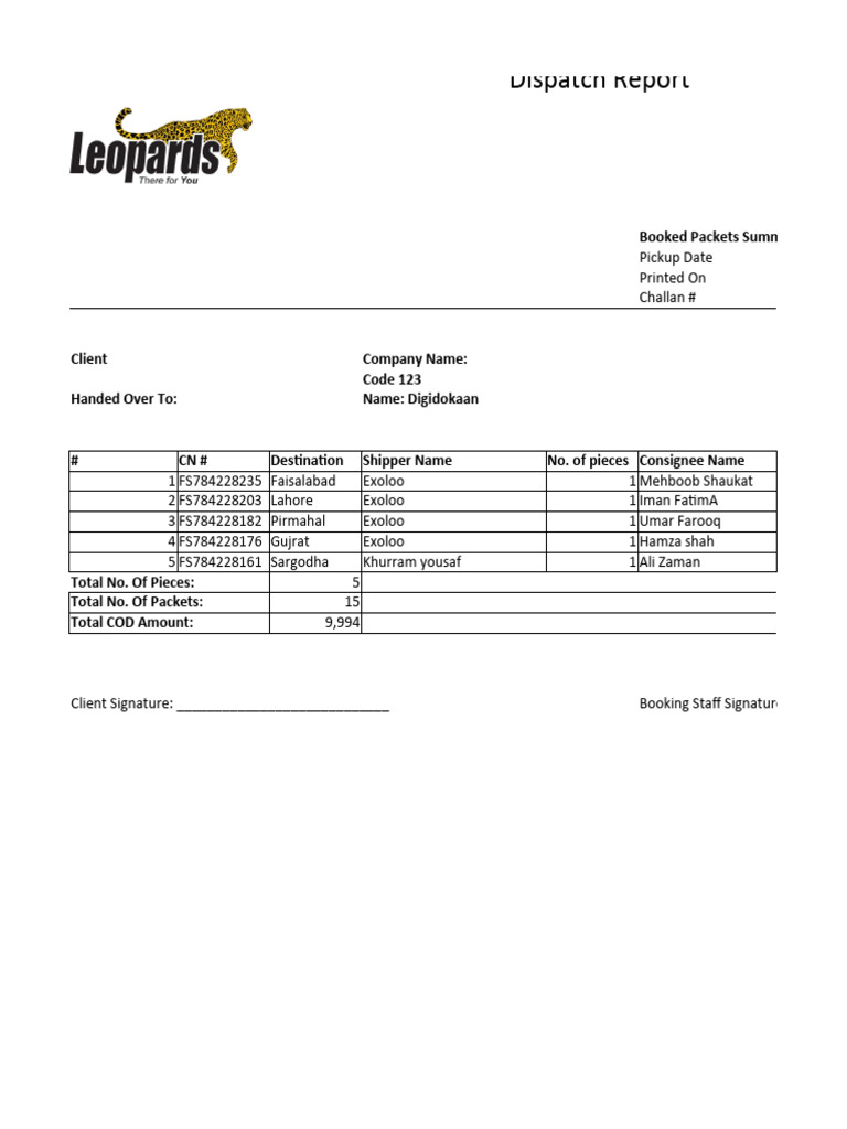 Dispatch Report: Packets Summary | PDF
