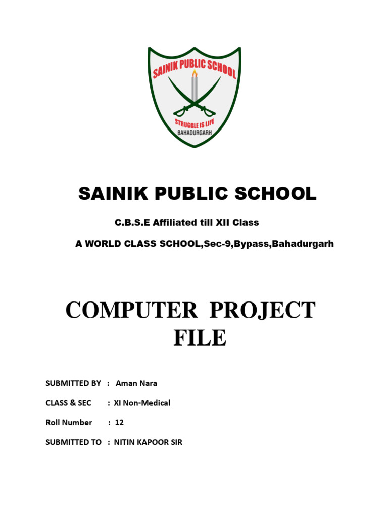 Computer Project File by Aman Nara | PDF