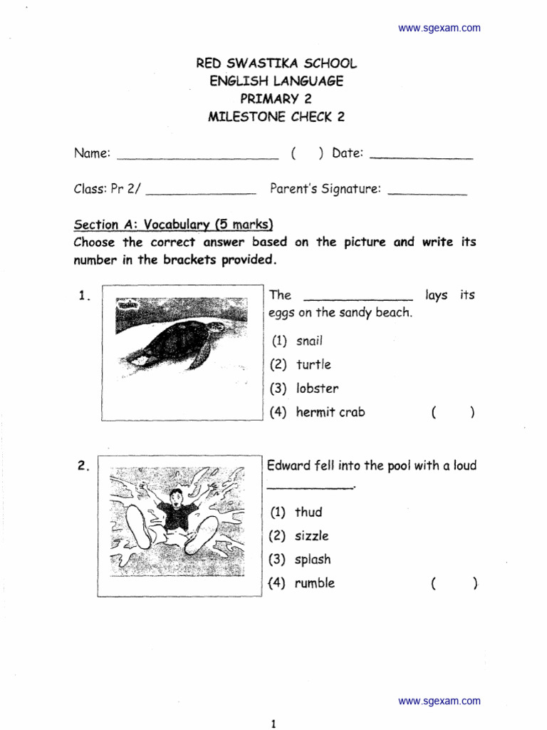 English Test Paper | PDF
