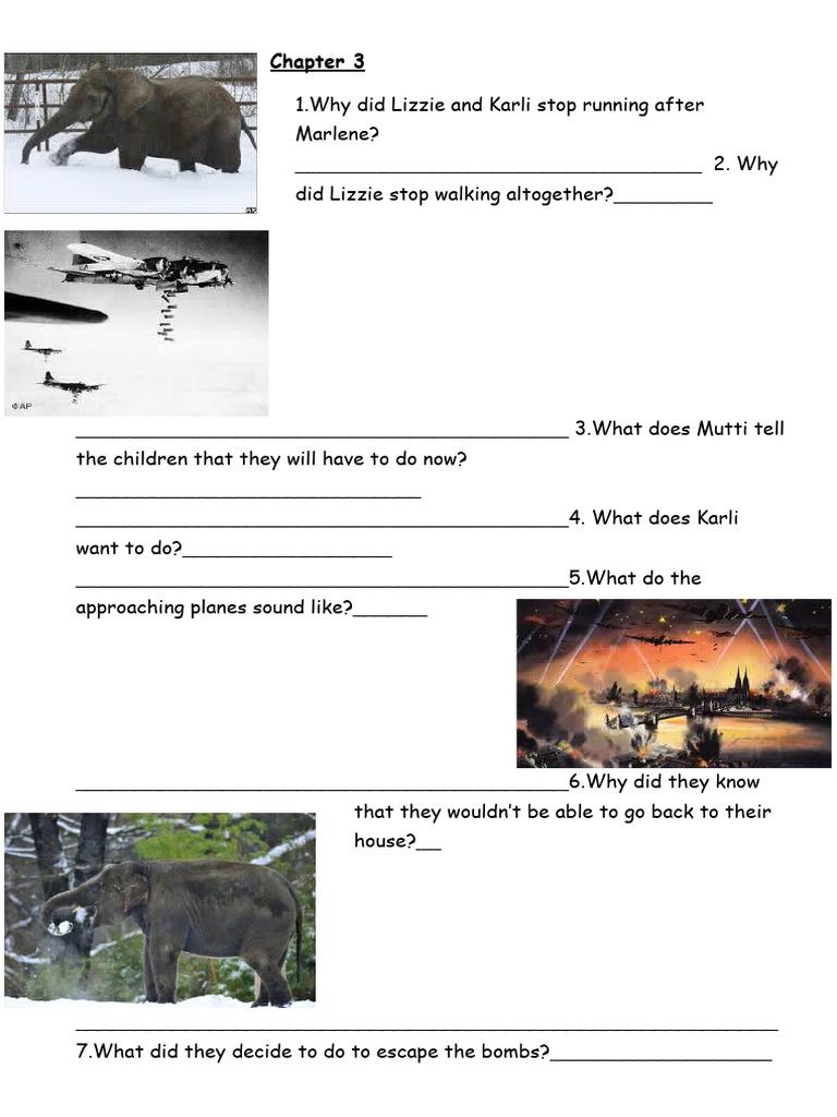 An Elephant in the Garden Overview | PDF | Games & Activities