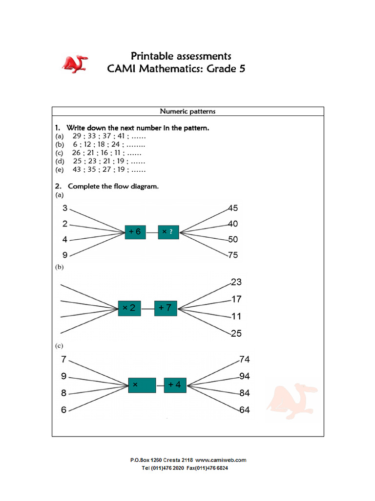 CAMI Grade 5 Math Assessments | PDF