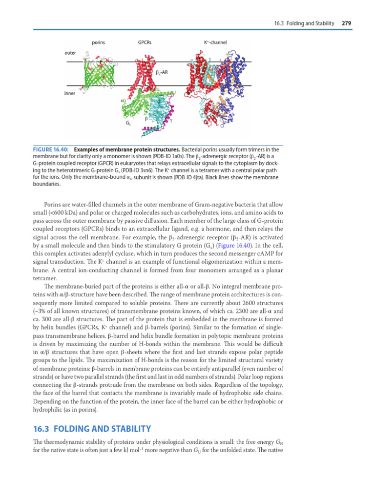 Protein folding | PDF | Protein Structure | Denaturation (Biochemistry)