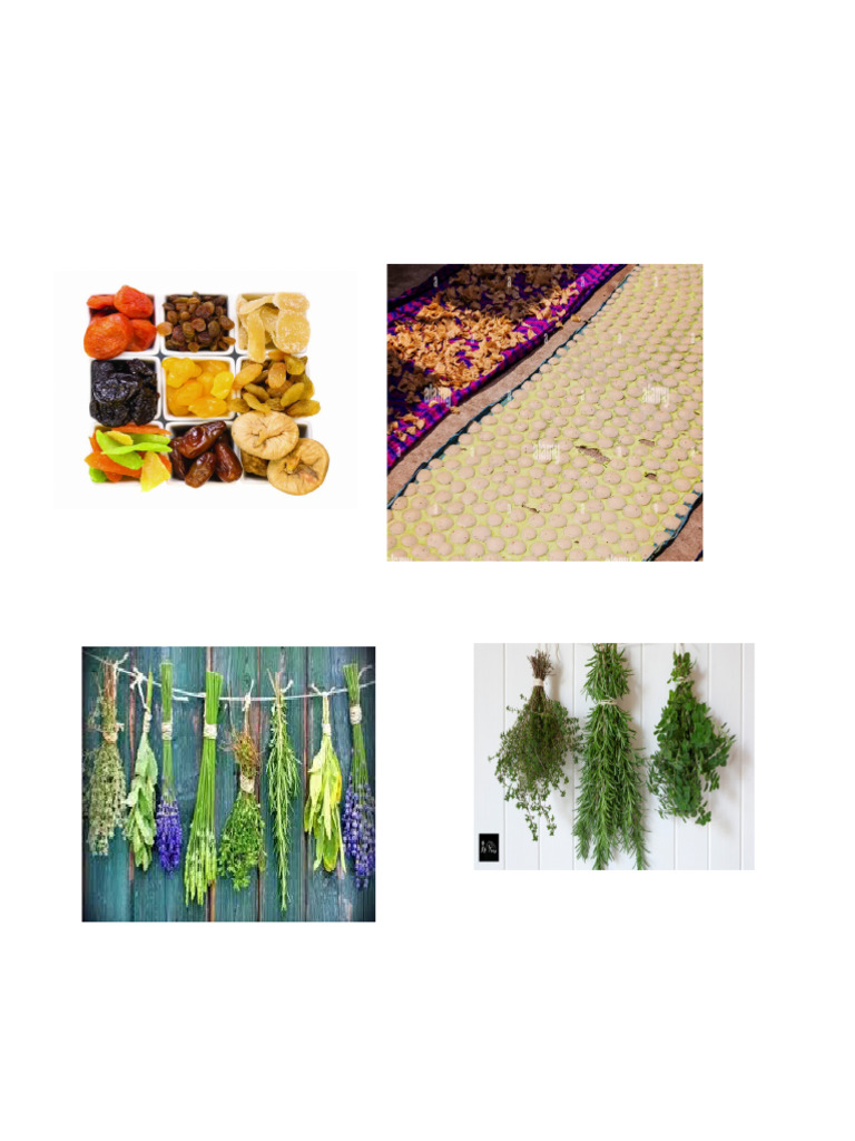Food Drying | PDF