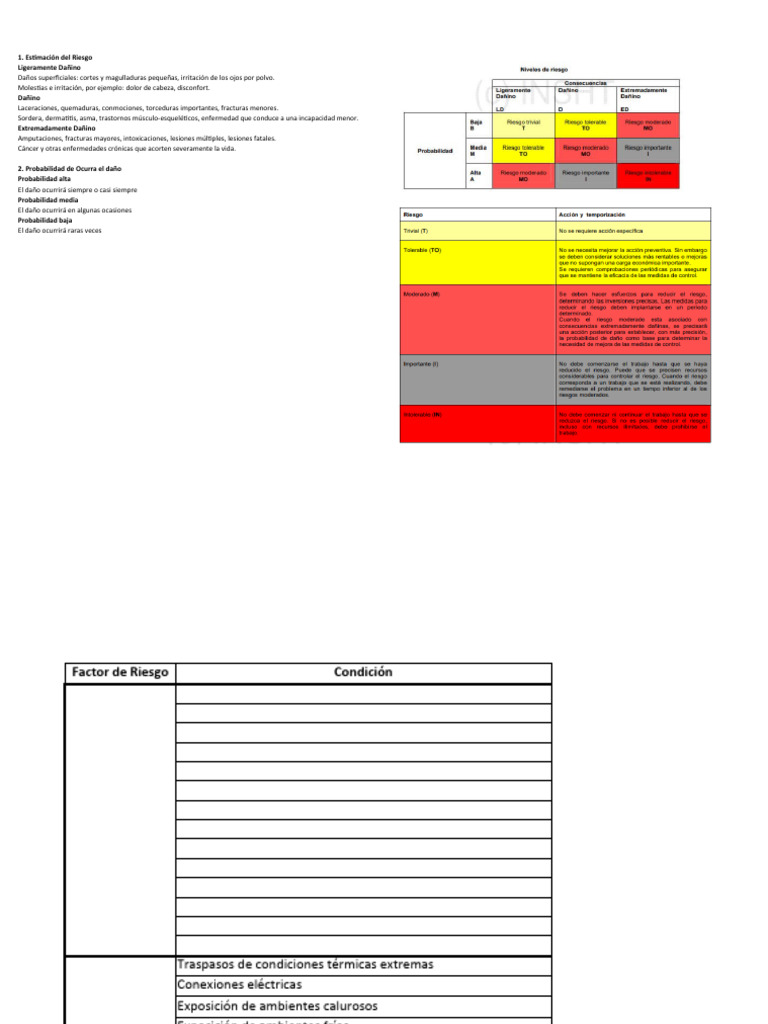 Matriz de Riesgos Laborales INSST | PDF | Medicina CLINICA ...