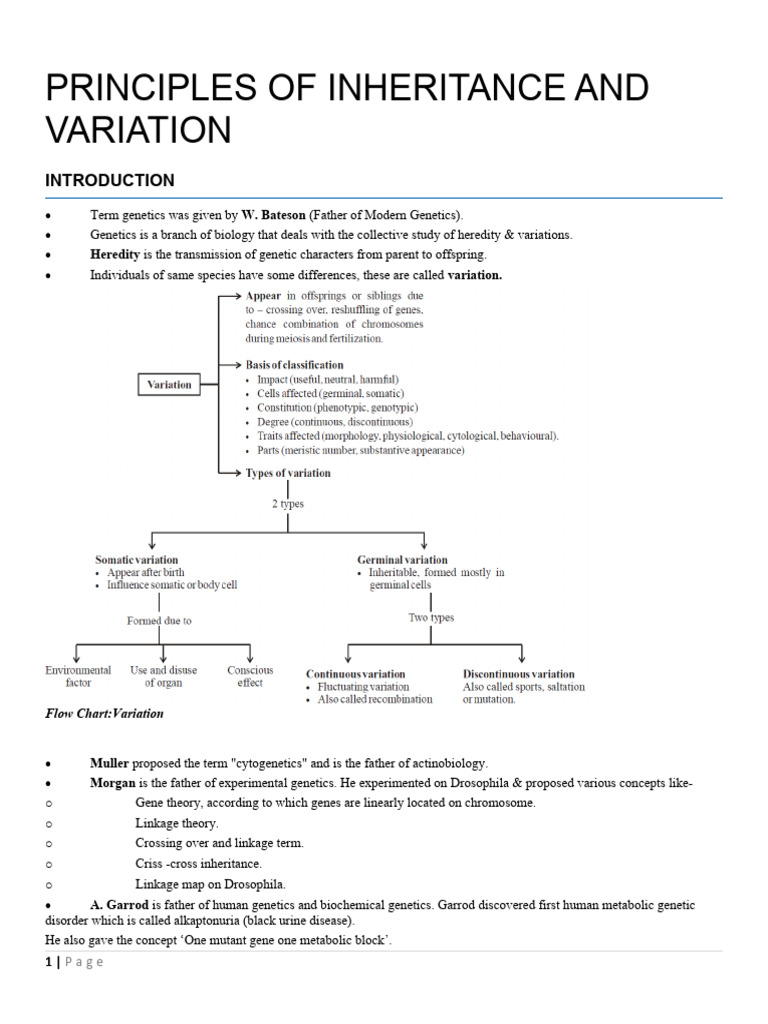 CH 5 PRINCIPLES OF INHERITANCE AND VARIATION | PDF | Sex | Meiosis