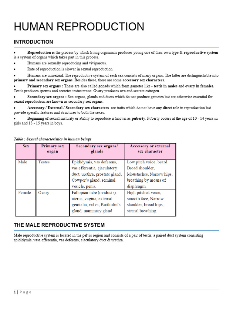 CH 3 Human Reproduction | Download Free PDF | Menstrual Cycle | Ovary