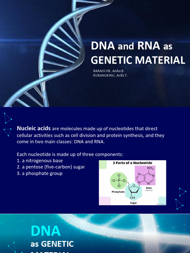 DNA and RNA As Genetic Material Baraocor and Kurangking | PDF | Dna ...