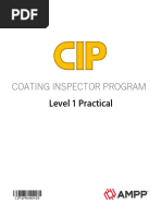 NACE Level 3 Peer Review Questions | PDF | Corrosion | Paint