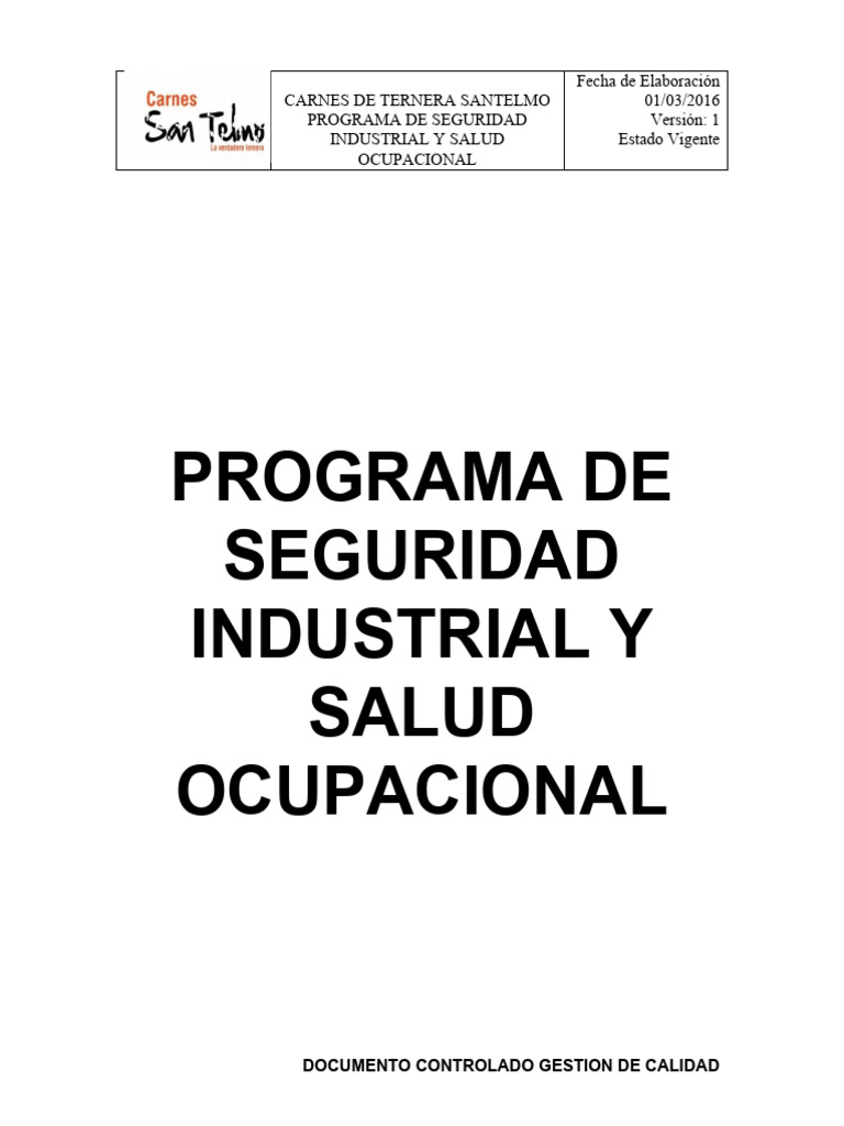 PROGRAMA SALUD OCUPACIONAL ULTIMA | Descargar gratis PDF | Seguridad y salud ocupacional | Riesgo