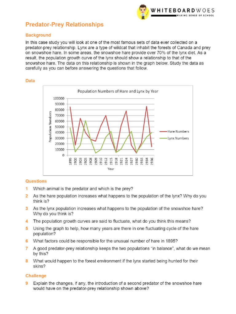 Predator Prey Relationships Worksheet | PDF
