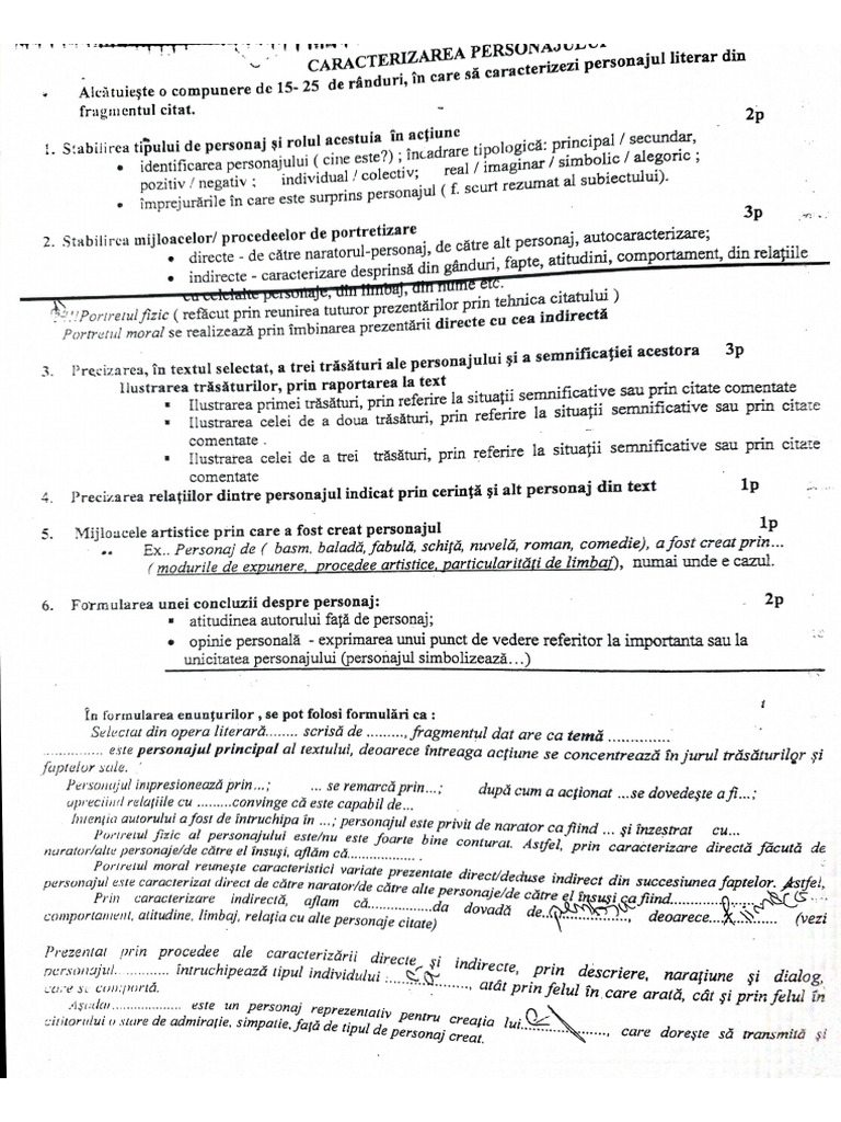 Caracterizare Personaj Plan | PDF