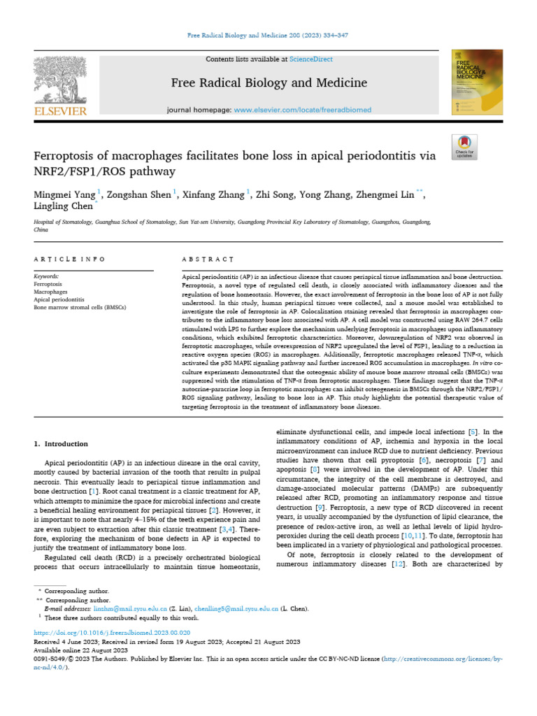 Ferroptosis of Macrophages Facilitates Bone Loss in Apical ...