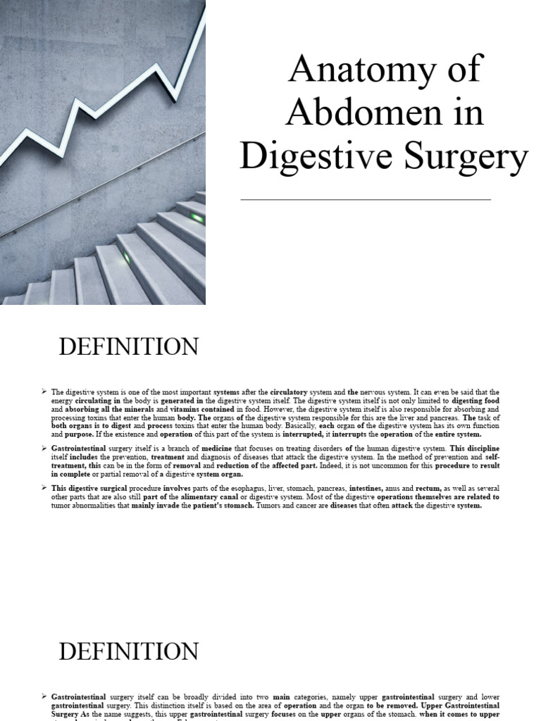 Anatomy of Abdomen in Digestive Surgery | PDF | Large Intestine ...