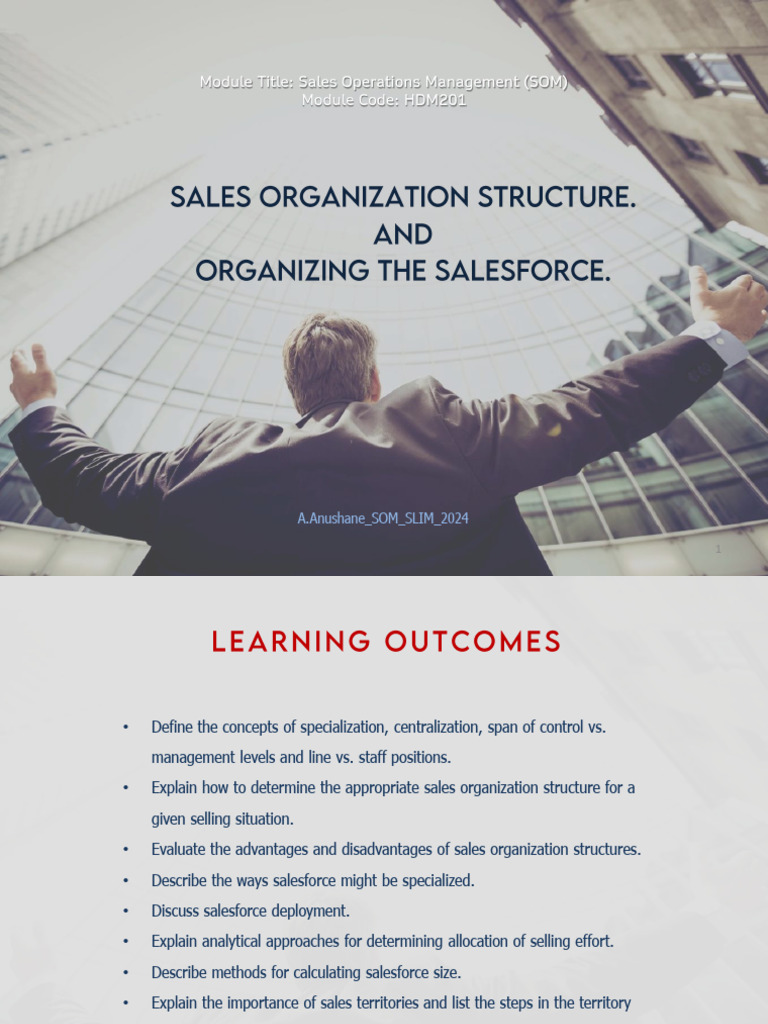 Sales Org Structure & Salesforce - AA - 2024 | PDF | Sales | Strategic ...
